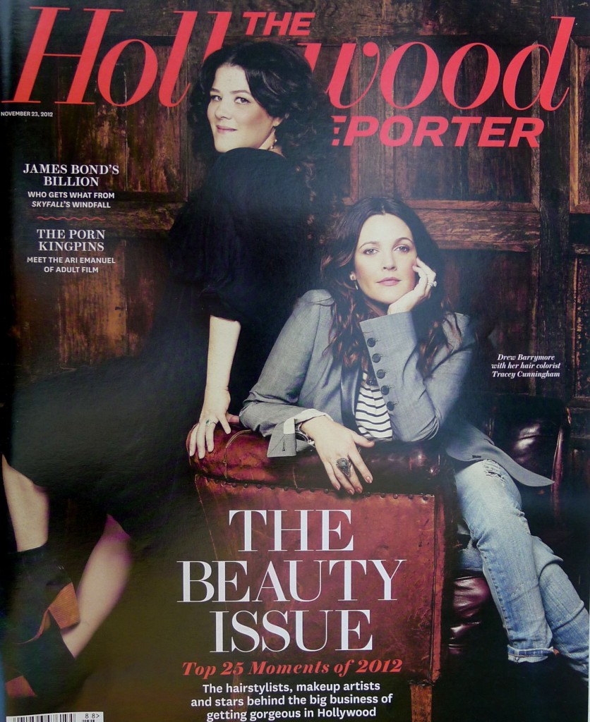 Hollywood Reporter Cover Nov 23, 2012 – Beyond the Brochure