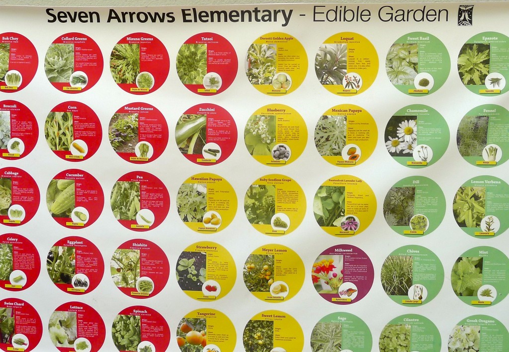 Edible Gardens Chart – Beyond the Brochure